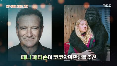 명배우 로빈 윌리엄스의 특별한 친구 뜻밖에도 그 친구는 고릴라였다 Mbc 200927 방송 네이버 Tv
