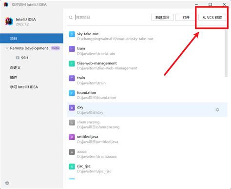 Java若依框架RuoYi Vue的前端和后端配置步骤和启动步骤 初始化项目 若依前端启动 CSDN博客