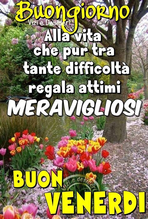Buon venerdì bellissime immagini e frasi Pagina di LeBelleImmagini it