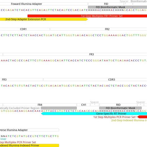 schematic showing bioinformatics sequence processing the flow chart