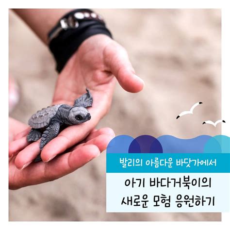 한국갭이어 참여자 모집 공모전 대외활동 링커리어