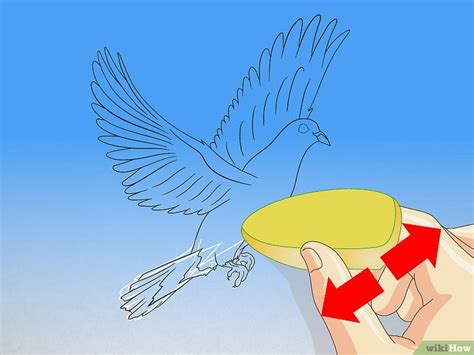 Как нарисовать голубя 15 шагов с иллюстрациями