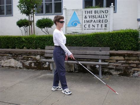 4 White Cane And Poses Tns Ts4 White Cane And Poses For Your Blind