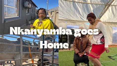 Gogo Nkanyambas Homecoming Part 1 Youtube