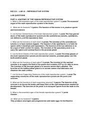 BIO Lab Lab Questions Docx BIO LAB REPRODUCTIVE SYSTEM LAB QUESTIONS PART