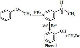 Which one of the following, with HBr will give a phenol? - Sarthaks eConnect | Largest Online ...