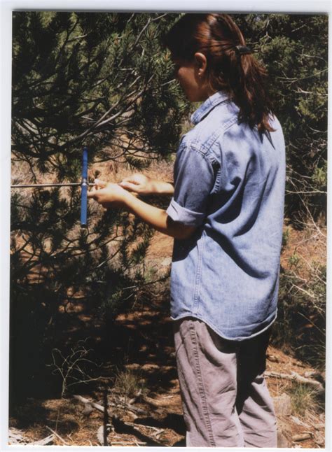 Tree Ring Increment Core Sampling