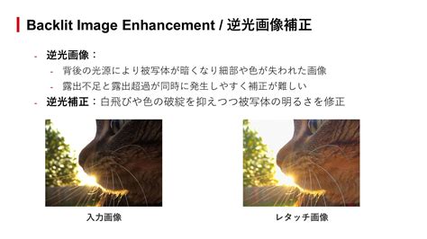 iterative prompt learning for unsupervised backlit image enhancement