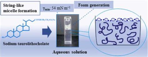 牛磺石胆酸钠的胶束形成 Chemistry and Physics of Lipids X MOL