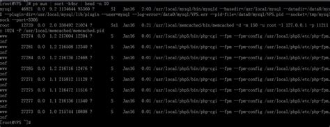 Linux查看进程内存占用方法 玄灵云