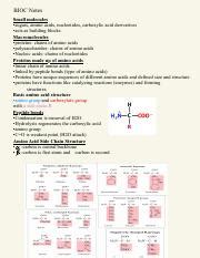 Understanding Small Molecules And Macromolecules In BIOC Amino Course Hero