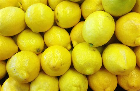 A Lemon Dessert The Human Element In Gastronomy