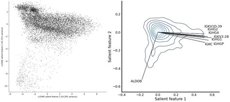 Biological Interpretability — Cellmirror V1 Documentation