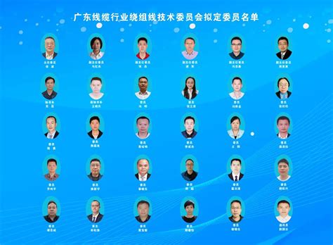 广东省电线电缆行业协会
