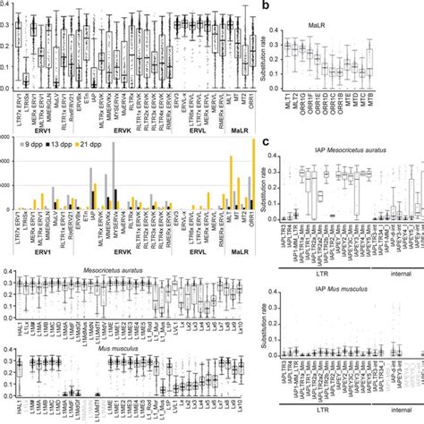 Nucleotide Substitution Rates Of Retrotransposons Sequences Nucleotide