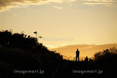 緑の文化ゾーンの夕景（東京都立川市）の写真素材 211870036 イメージマート