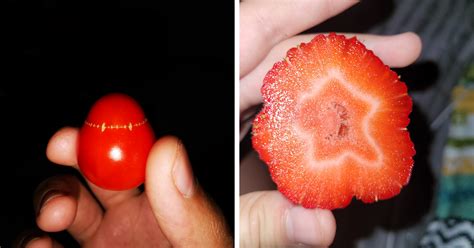 Hey Pandas Show Us The Weirdest Fruit Or Vegetable Youve Ever Seen