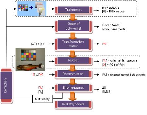 Schema For Spectral Reconstruction Download Scientific Diagram