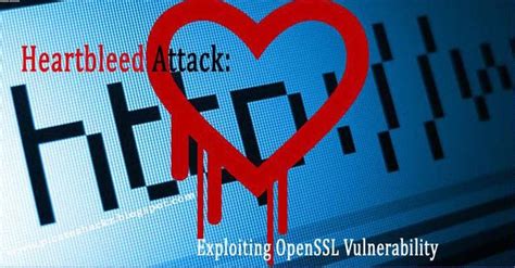 Heartbleed Attack Exploiting Openssl Vulnerability Using Metasploit
