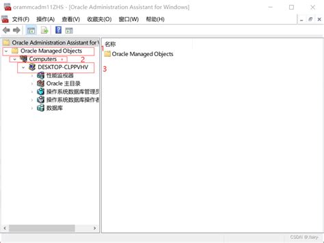 Oracle Ora Insufficient Privileges Windows