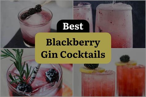 22 Blackberry Gin Cocktails To Shake Up Your Summer Nights