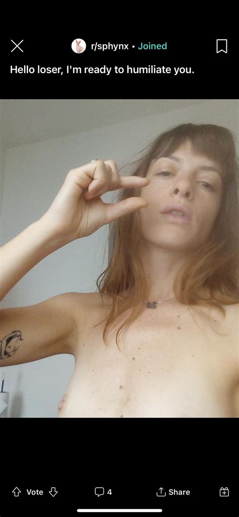 In A Sub About Sphinx Cats R Lostredditors