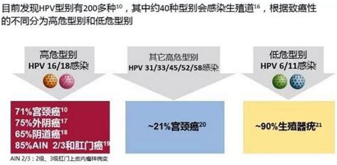 备孕查出hpv阳性怎么办 知乎