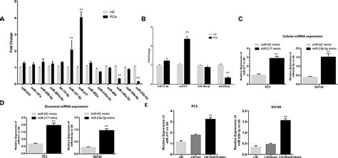 Functional Implication Of Exosomal Mir 217 And Mir 23b 3p In The Progr