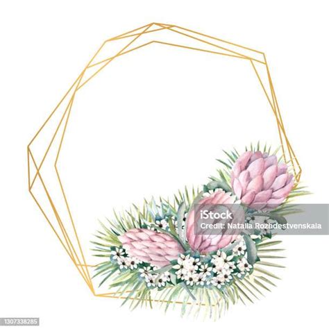 프로테아 꽃 열대 잎 야자수 잎 부바르디아 꽃기하의 기하학적 인 금 프레임 세련된 초대장의 디자인을위한 프레임에 웨딩 꽃다발 수채화 일러스트레이션 0명에 대한 스톡 벡터