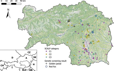 Location Of The 167 Golden Jackal Reports Of This Study Encoded By Download Scientific Diagram Location Of The 167 Golden Jackal Reports Of This Study Encoded By Download Scientific Diagram