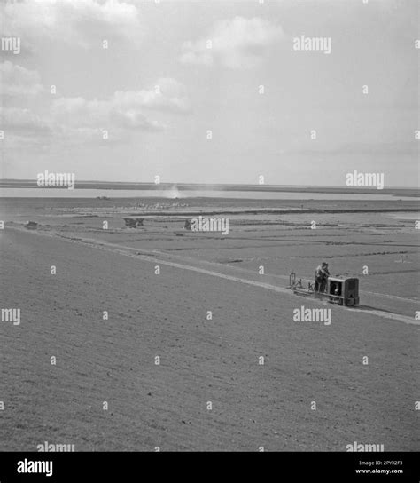 Locomotive Of A Light Railroad Driving Through The Koog Undated Photo