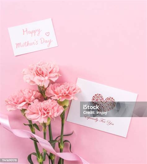 아름 다운 신선한 개화 베이비 핑크 컬러 부드러운 카네이션 밝은 분홍색 배경에 고립 어머니 날 감사 디자인 컨셉 평면도 평 신도 복사 공간 클로즈업 모의 어버이날에 대한