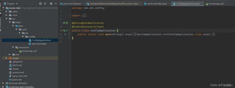 解决spring cloud nacos中出现could not resolve placeholder ‘name‘ in value “ {name}“ nested exception