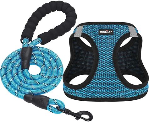14 Best Cockapoo Harnesses That You Cant Miss The Doodle Guide