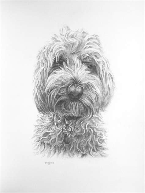 Cockapoo Pet Portrait Drawing Commissions Kelly Barnes Portraits