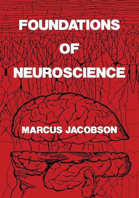 Neuroscience Textbook Pdf