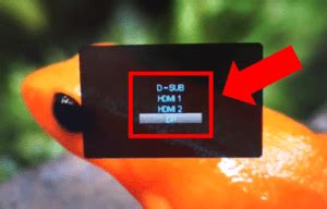 AOC Monitor No Signal 7 Quick Fixes The Flexible Worker