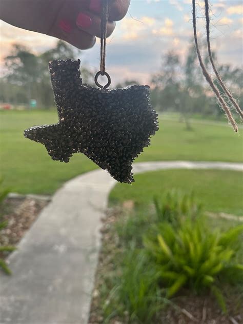 State Of Texas Shaped Car Freshie Etsy