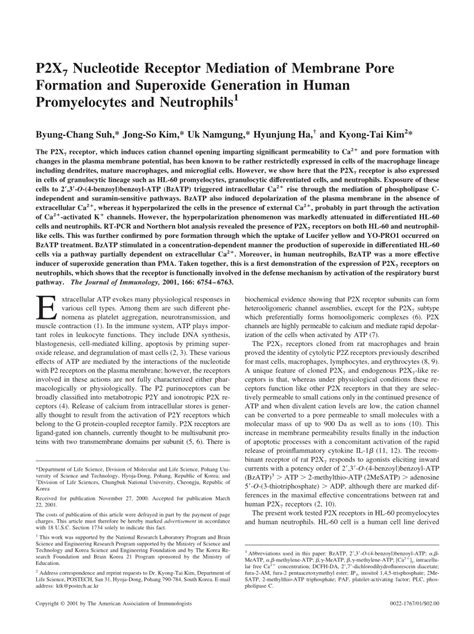 Pdf P2x7 Nucleotide Receptor Mediation Of Membrane Pore Formation And