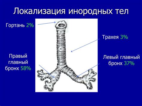 Инородные тела дыхательных путей у детей презентация онлайн