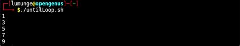 Bash Until Loop