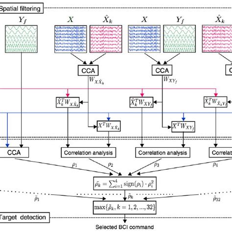 Pdf A High Speed Brain Speller Using Steady State Visual Evoked
