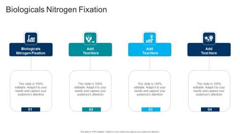 Biological Nitrogen Fixation Powerpoint Templates Slides And Graphics