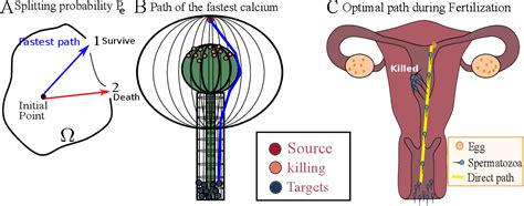 Figure From How Large The Number Of Redundant Copies Should Be To Make A Rare Event Probable