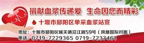 刚刚，十堰中小学、幼儿园秋季开学时间确定澎湃新闻 The Paper