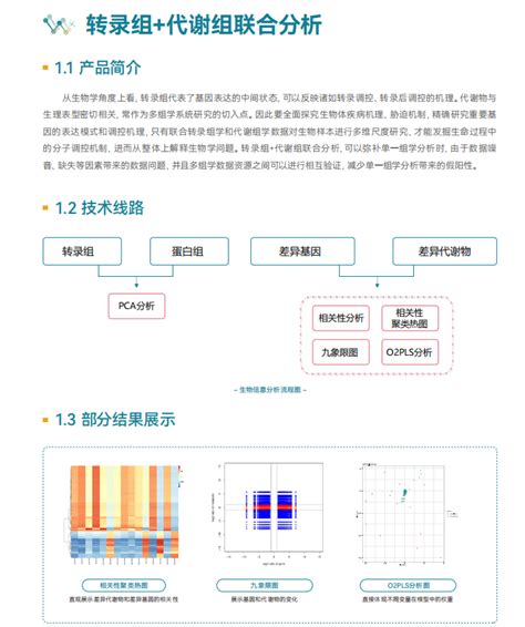 转录组 代谢组联合分析 百奥维凡生物
