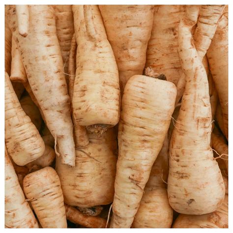Everwilde Farms 1lb Hollow Crown Parsnip Seeds Open Pollinated Heirloom Everwilde Farms 1lb Hollow Crown Parsnip Seeds Open Pollinated Heirloom