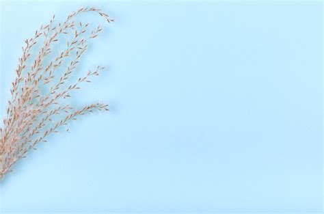잎 구성입니다 자연 컨셉 배경입니다 평면 배치 및 상단 사진 보기 0명에 대한 스톡 사진 및 기타 이미지 0명 가을 개념