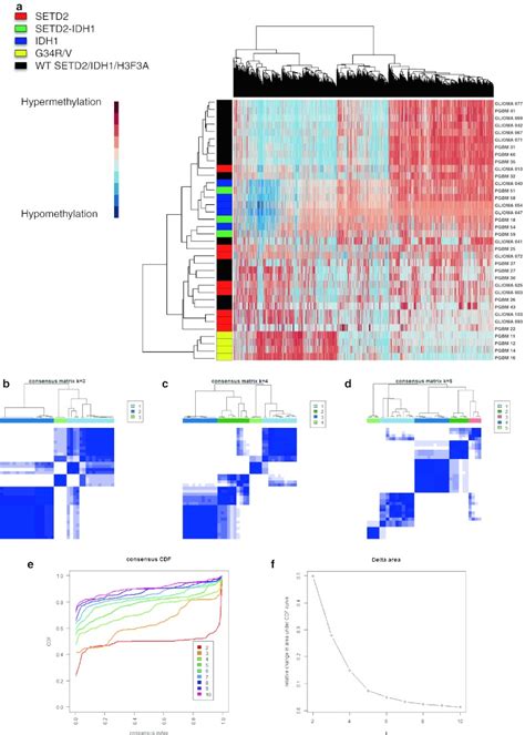 Mutations Affecting H3k36 Methylation Confer Distinct Global Dna