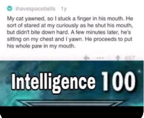 Intelligence Memes Worst Jokes Ever